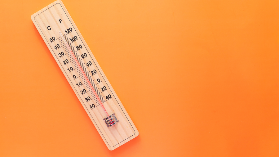 Temperature for Your Steam Room | SweatDecks